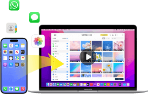 Tiger Data Backup - 老虎数据恢复