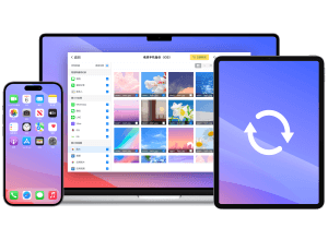 Tiger Data Backup - 老虎数据恢复